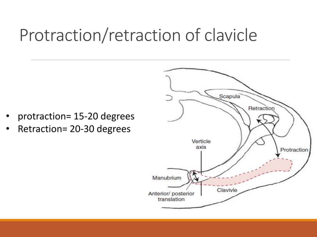 biomechanics of shoulder | PPTX