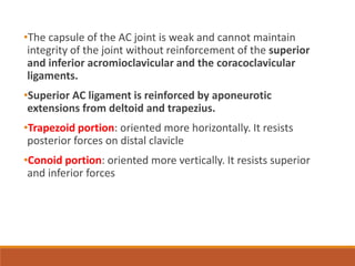 biomechanics of shoulder | PPTX