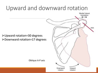 biomechanics of shoulder | PPTX