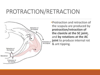 biomechanics of shoulder | PPTX