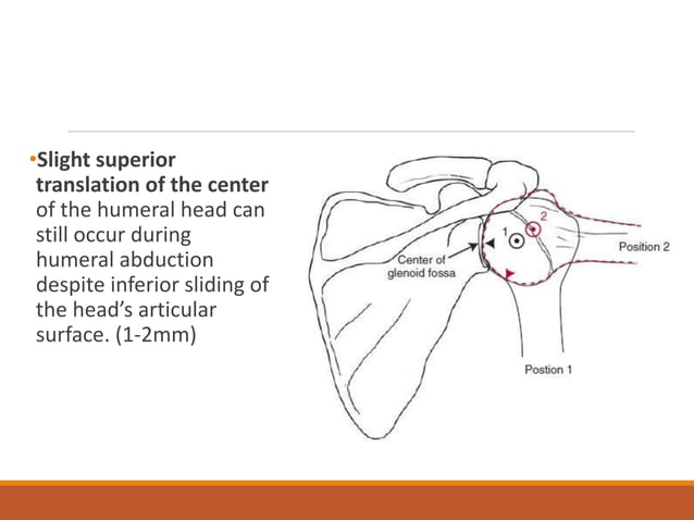 biomechanics of shoulder | PPTX