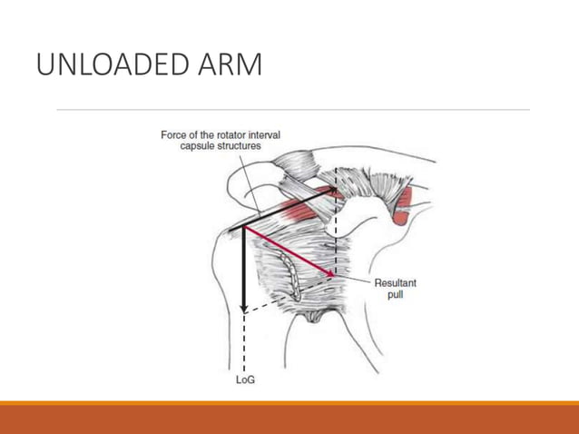 biomechanics of shoulder | PPTX
