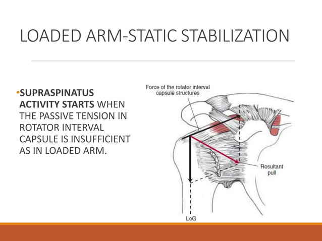 biomechanics of shoulder | PPTX