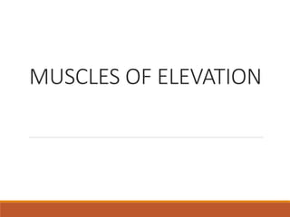 biomechanics of shoulder | PPTX
