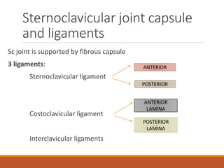 biomechanics of shoulder | PPTX