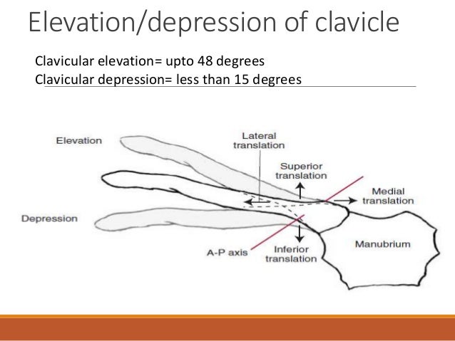 biomechanics of shoulder