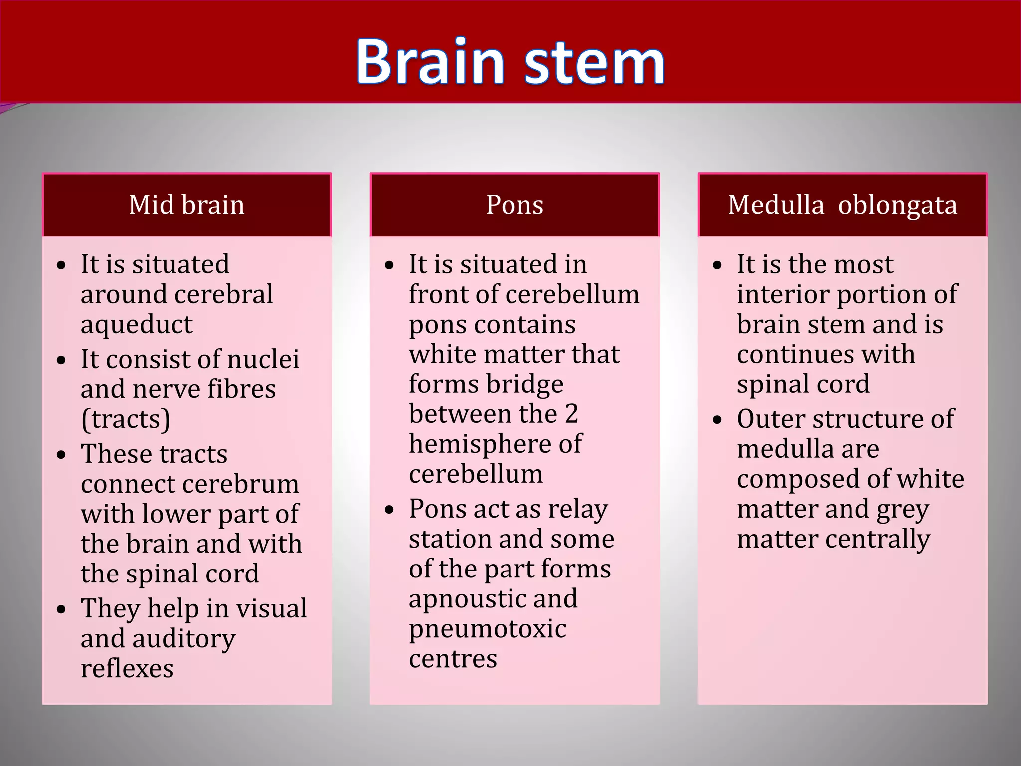Nervous system ppt | PPTX
