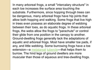 Anurans | PPTX | Reptiles | Pets