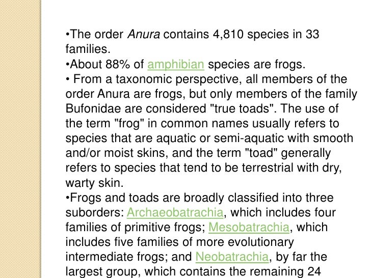 Anurans