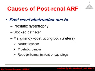 Anuria & acute retention | PDF