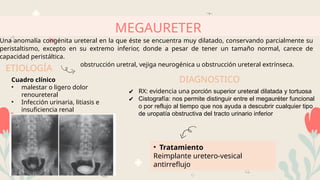 ANURIA EXCRETORIA catedra de urologia.pptx