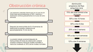 ANURIA EXCRETORIA catedra de urologia.pptx
