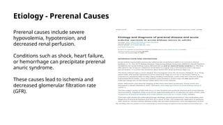 Anuric Syndrome treatment and causes and effects | PPTX