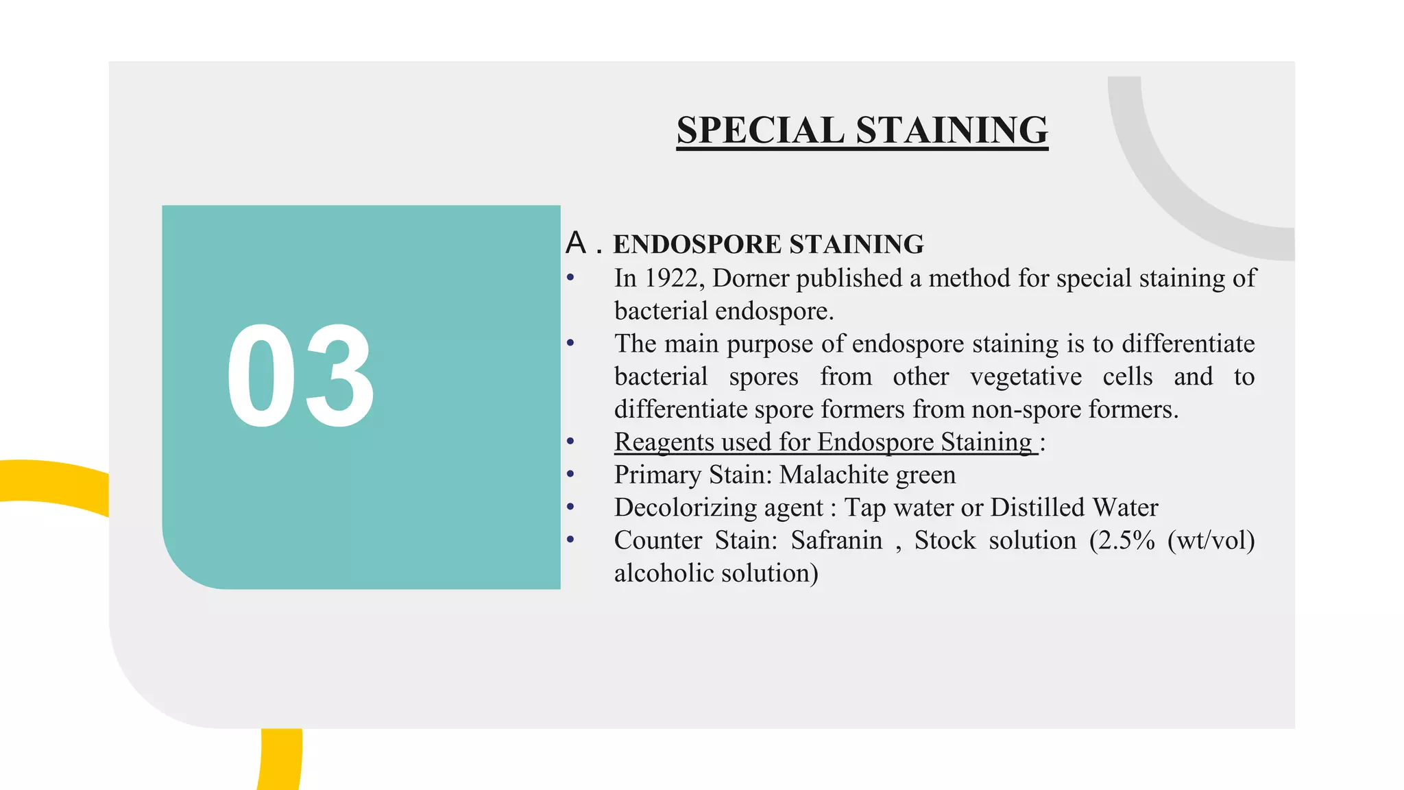 gram stainning | PPTX