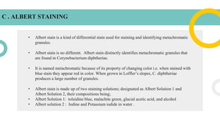 gram stainning | PPTX