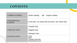 gram stainning | PPTX