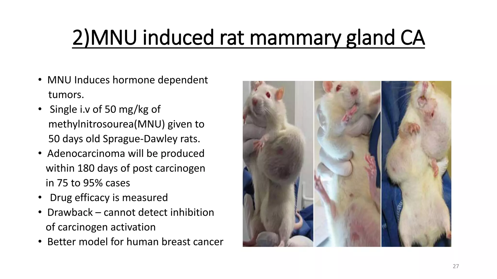 SCREENING OF ANTI CANCER DRUGS | PPTX