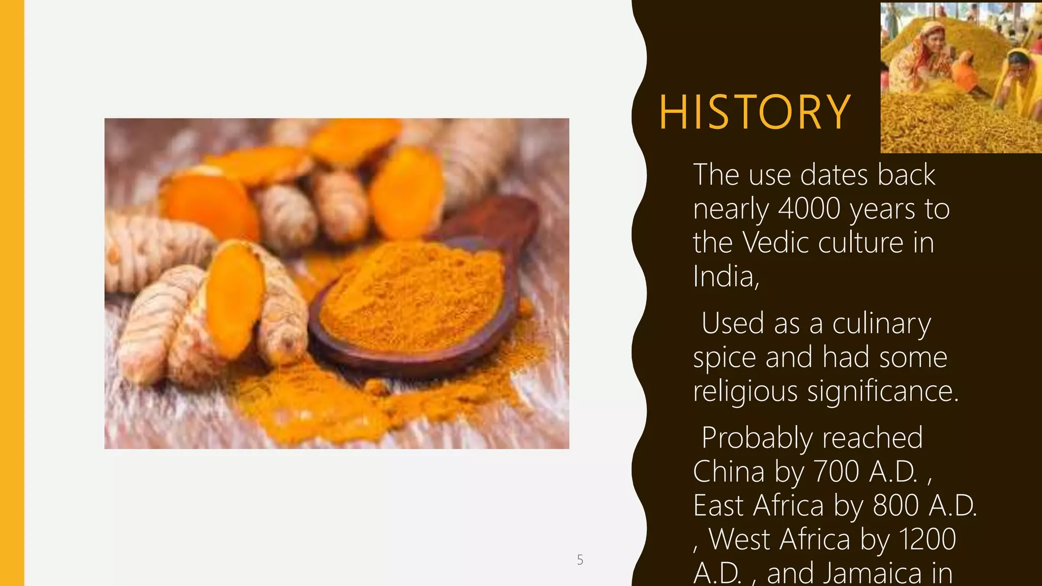 turmeric .spices | PPT