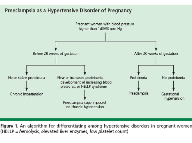Pregnancy Induced Hypertension- Pathophysiology | PPTX | Pregnancy ...