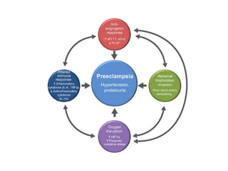 Pregnancy Induced Hypertension- Pathophysiology | PPTX
