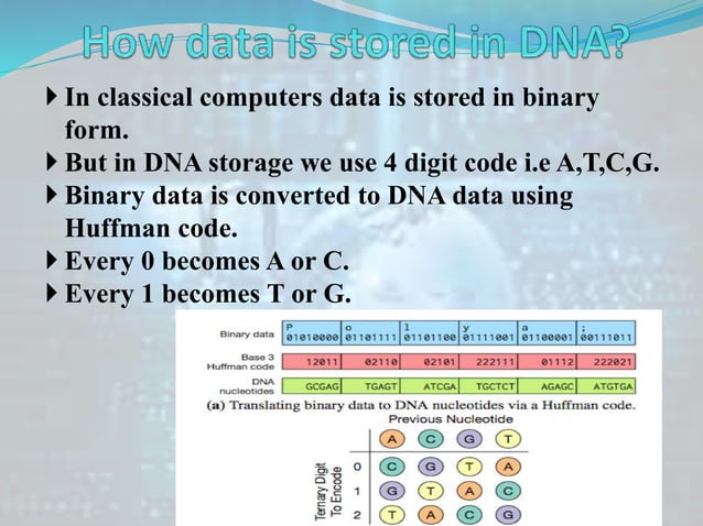 DNA storage by Anushka jha | PPT