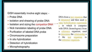 Immuno techniques like fish &gish and confocal microscopy | PPT