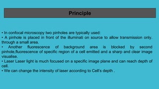 Immuno techniques like fish &gish and confocal microscopy | PPT