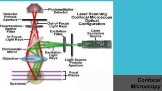 Immuno techniques like fish &gish and confocal microscopy | PPT