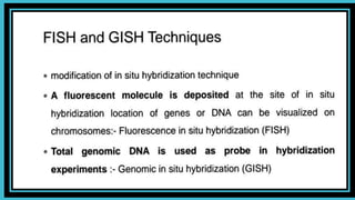 Immuno techniques like fish &gish and confocal microscopy | PPT
