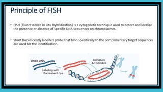 Immuno techniques like fish &gish and confocal microscopy | PPT