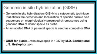 Immuno techniques like fish &gish and confocal microscopy | PPT