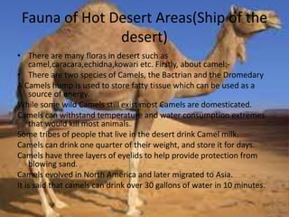 School Project / ppt presentation / Powerpoint /English Project | PPTX