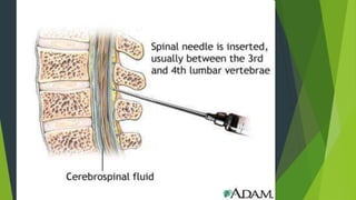 cerebro spinal fluid analysis | PPTX