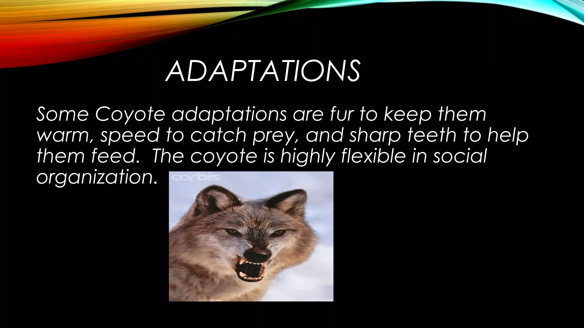 Anwar presentation | PPT