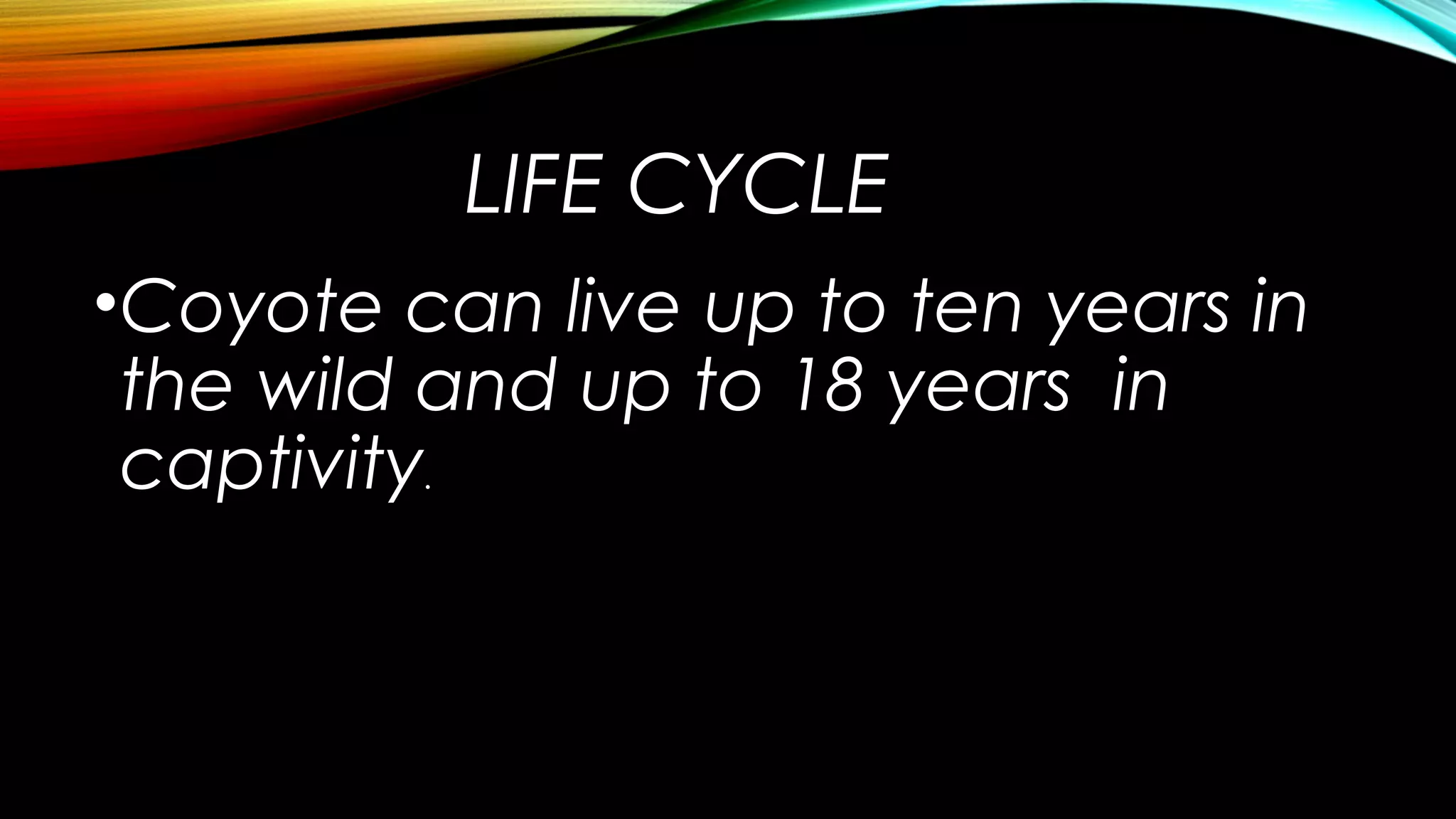 Anwar presentation | PPT