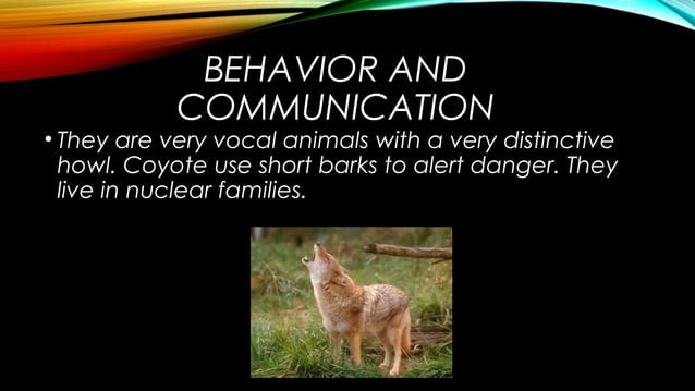 Anwar presentation | PPT