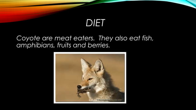 Anwar presentation | PPT