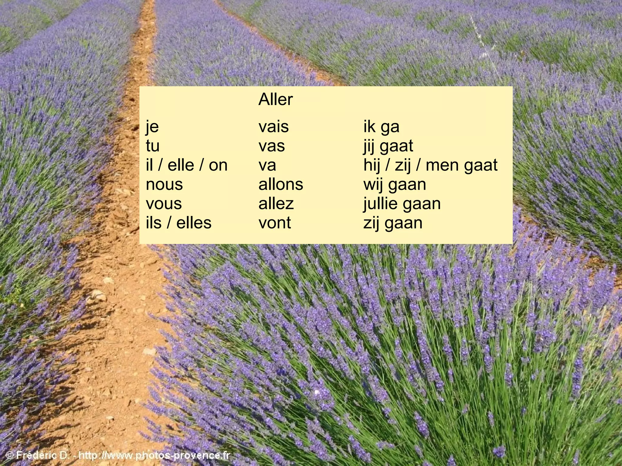 êTre +avoir + aller invuloefening | PPT