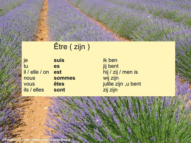 êTre +avoir + aller invuloefening | PPT