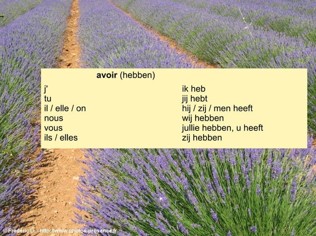 êTre +avoir + aller invuloefening | PPT