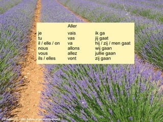 êTre +avoir + aller invuloefening | PPT