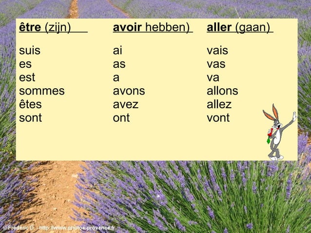 êTre +avoir + aller invuloefening | PPT