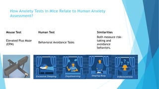 Behavioral anxiety assessment tests for mice. | PPT