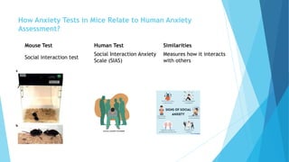 Behavioral anxiety assessment tests for mice. | PDF