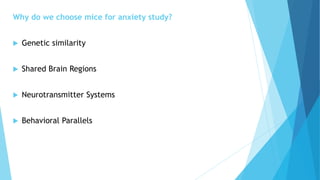 Behavioral anxiety assessment tests for mice. | PPT
