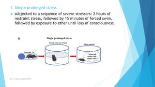 Behavioral anxiety assessment tests for mice. | PDF