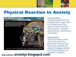 Anxiety disorder anxiety meaning anxiety attack | PPT