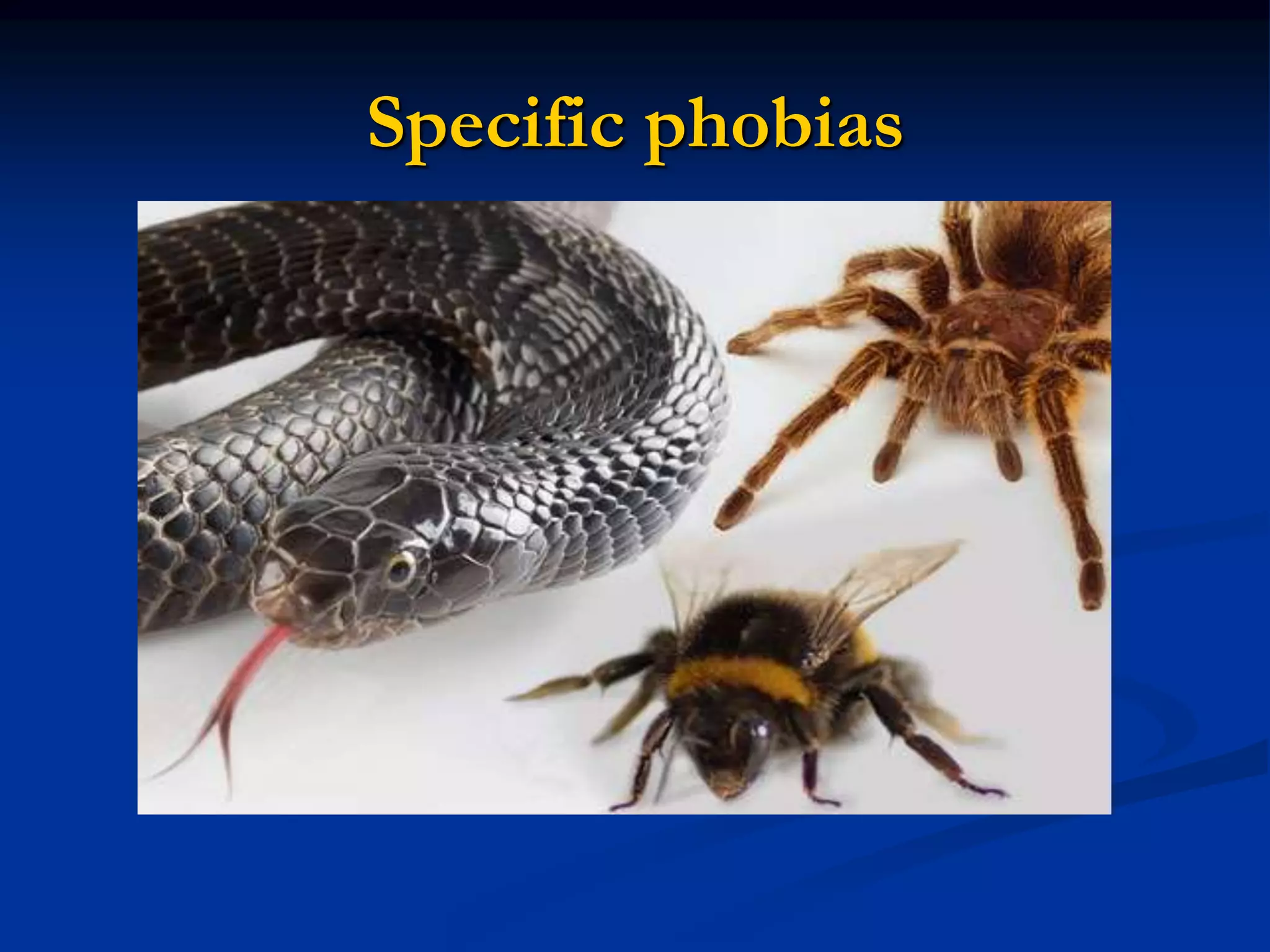 Anxiety Disorders.ppt