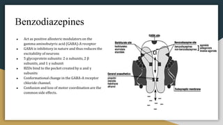 Anxiety neurobio | PDF