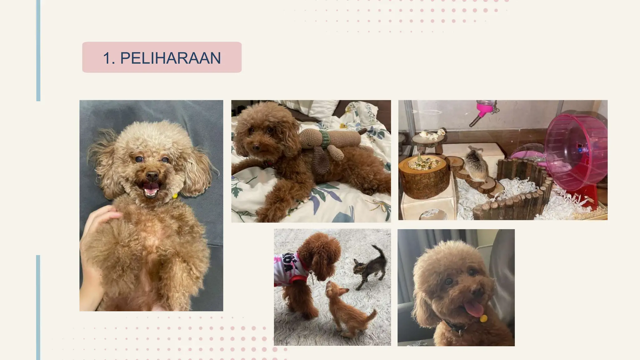 Anxious for Nothing.pptx